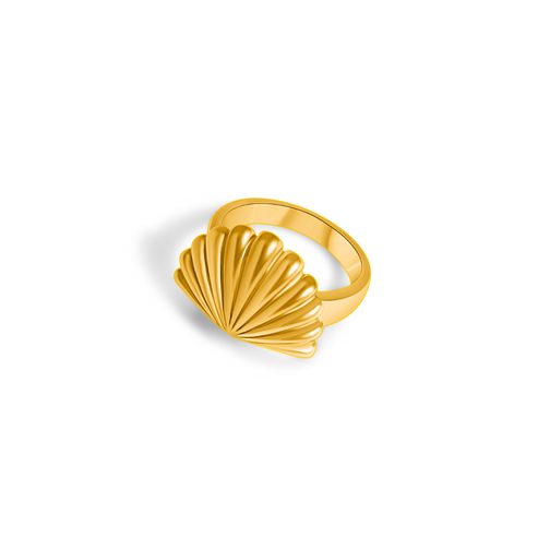 Scallop Shell Ring – Anura Jewellery
